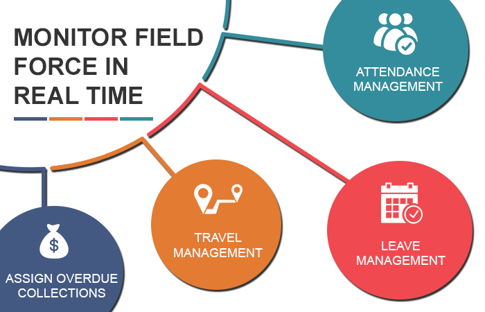 Collection Management